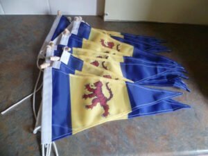 Custom Burgee Flags – EclipseFlags